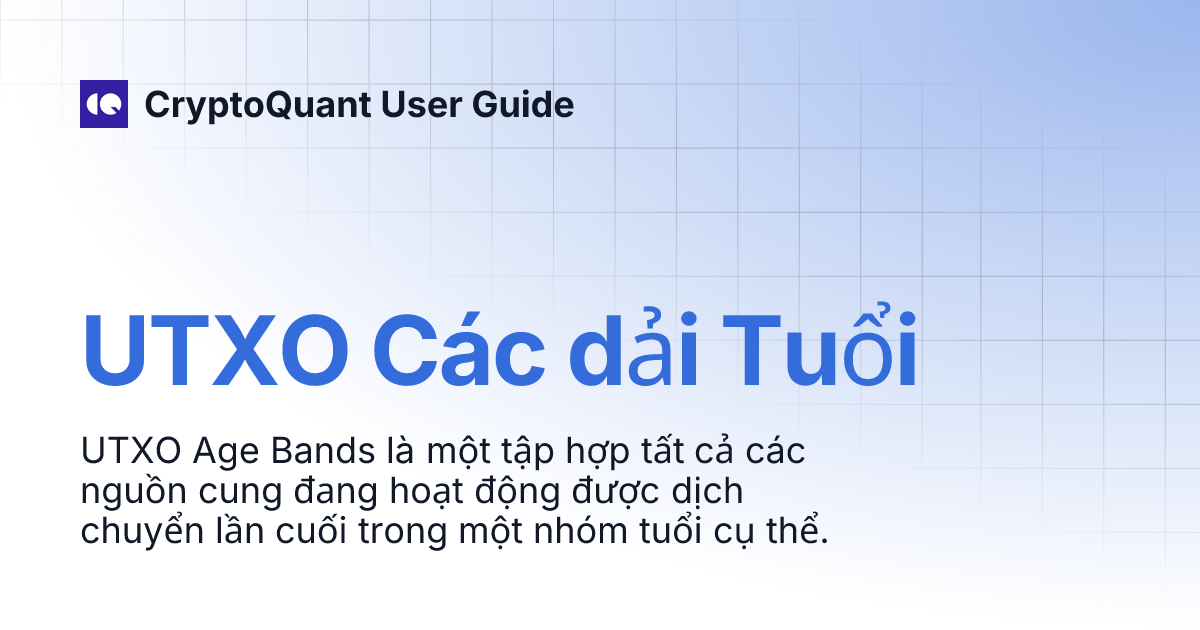 UTXO Các dải Tuổi | CryptoQuant User Guide